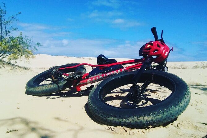 Rent A Bike (eletric & Normal) Costa Calma - A Practical Guide to Renting Bikes in Costa Calma