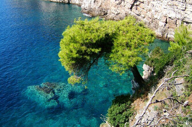Rent a Boat! (Group Option - Half Day) - Final Thoughts: Is This Tour for You?