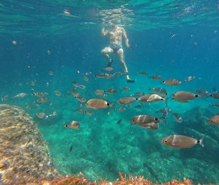 Rent a boat up to 6 person on Cape Kamenjak Nature Park - Key Points