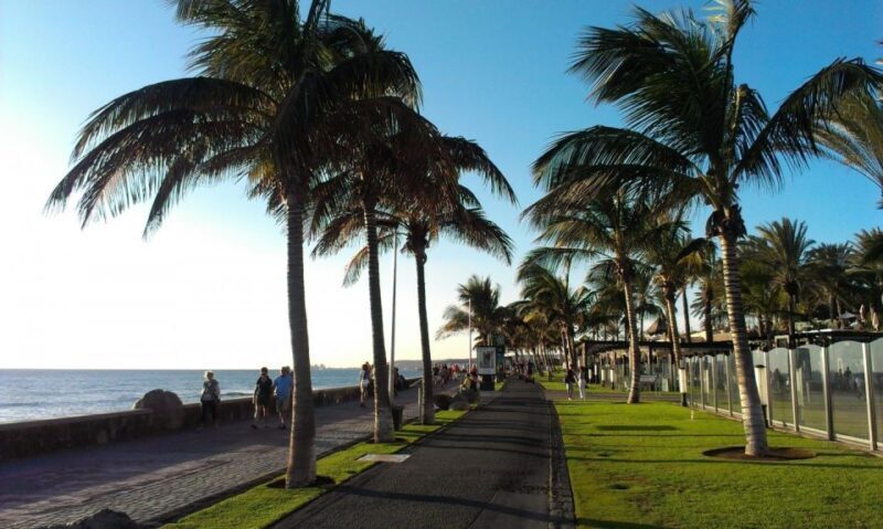 Rent a City Bike 18 gears from 9 hours to 7 days: Maspalomas - Key Points