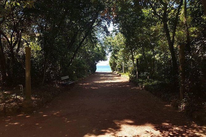 Rent a speed boat and explore beaches and coves of Elaphiti Islands - Itinerary Breakdown: What to Expect