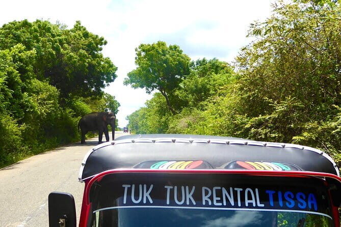 Rent a Tuk Tuk & Explore - The Experience: What It’s Like