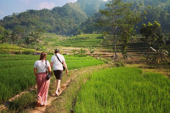 Rent car with speaking English driver in Yogyakarta - FAQ