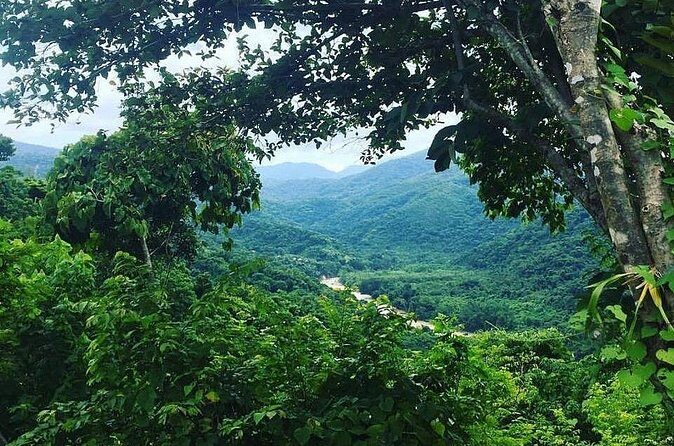 Rent DE mountain bikes - Key Points