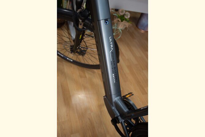 rent E-Bikes for a Day - Real Traveler Feedback: What Makes This Rental Stand Out?