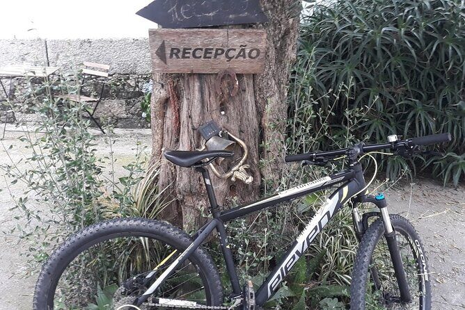 Rent mountain bike for bike path old railway to Famalicão - Authentic Traveler Perspectives