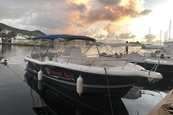 Rent White Shark 265 - The Authentic Touch: Reviews and Real Experiences