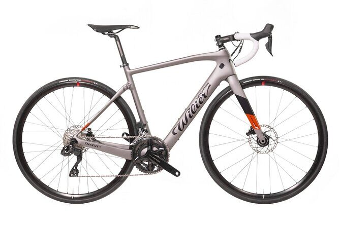 Rental bicycles - Who Will Love This Rental Service?