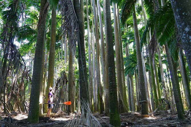Rental Kayaking or Stand-up Paddle 2H - Why This Tour Is a Great Value