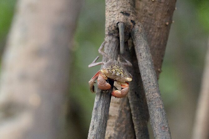 Rental Kayaking or Stand-up Paddle 2H - Is This Tour for You?