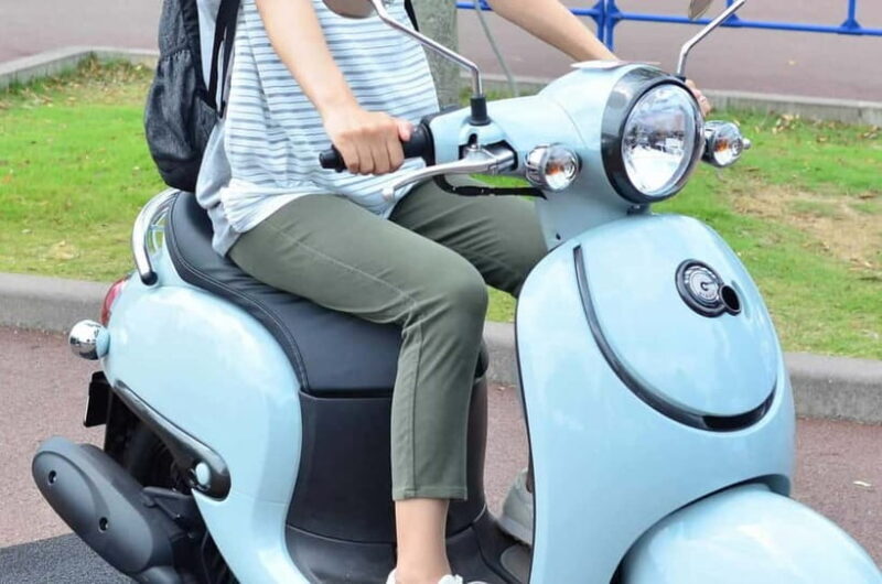 Rental Motorcycle Tour in Kyoto: South & East Heritage - Who Should Consider This Tour?