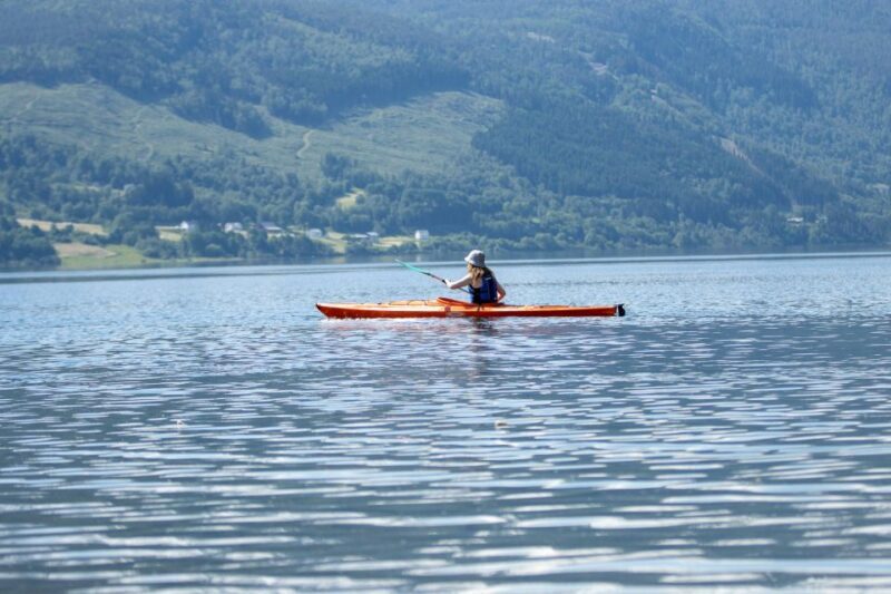 Rental - Sea Kayak - Why Choose This Kayak Rental?