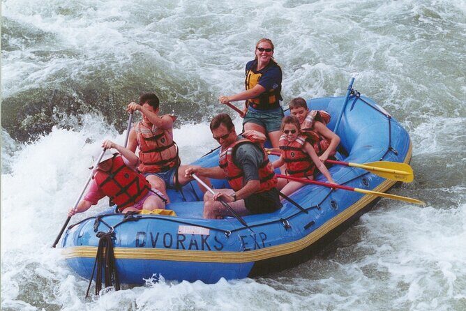 Rentals: 1-Day Inflatable Kayak (Single) - Final Reflection – Who is This Best For?