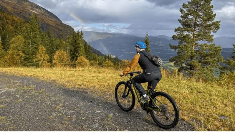Rentals | E-Mountain Bike - Full Suspension - Who It’s Best For