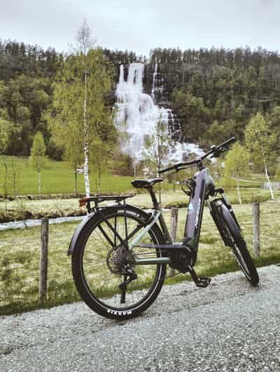 Rentals | E-Trekking Bike - Key Points