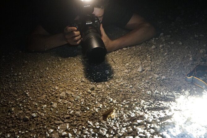 Reptile and Amphibian Night Adventure in Yucatán Jungle - Final Thoughts