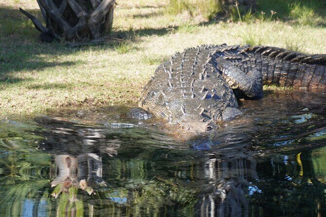 Reptile Eco Tour in Oaxacas Coastal Communities - What Makes This Tour Stand Out?