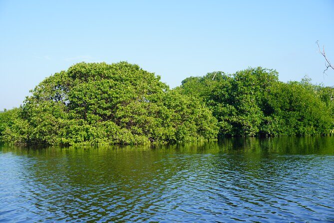 Reptile Eco Tour in Oaxacas Coastal Communities - FAQ
