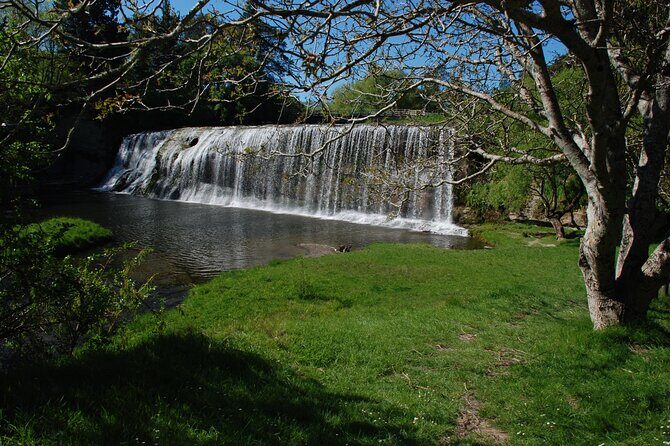 Rere Falls & Eastwoodhill Arboretum Tour with Refreshments - Who Will Get the Most Out of This Tour?
