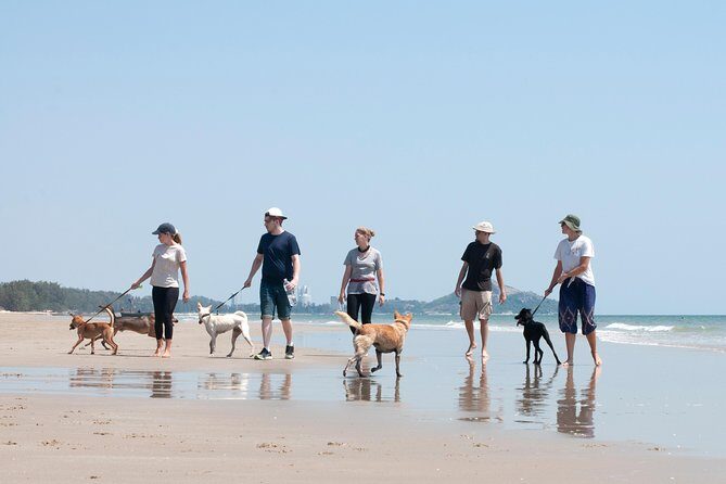 Rescue P.A.W.S. Day Visit - The Sum Up