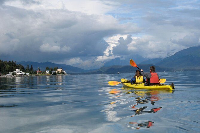 Resurrection Bay Kayaking Adventure - Pricing and Value