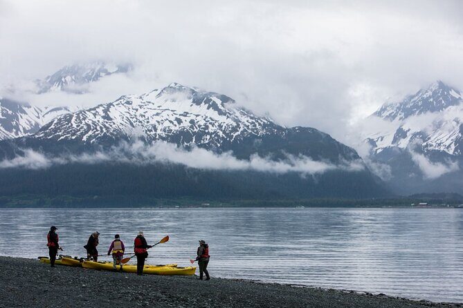 Resurrection Bay Waterfall And Rainforest Adventure - An Overview of the Resurrection Bay Waterfall And Rainforest Adventure