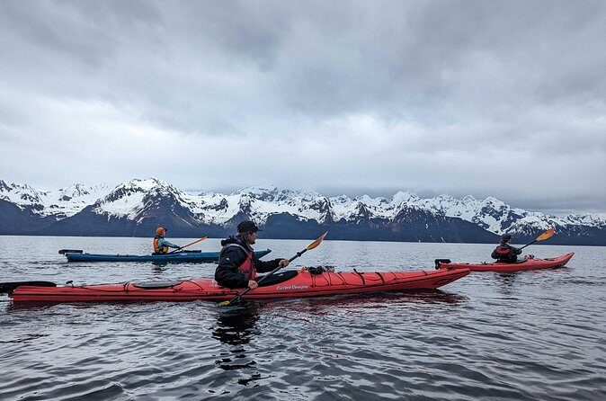 Resurrection Bay Waterfall And Rainforest Adventure - The Value of This Tour