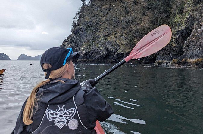 Resurrection Bay Waterfall And Rainforest Adventure - The Sum Up