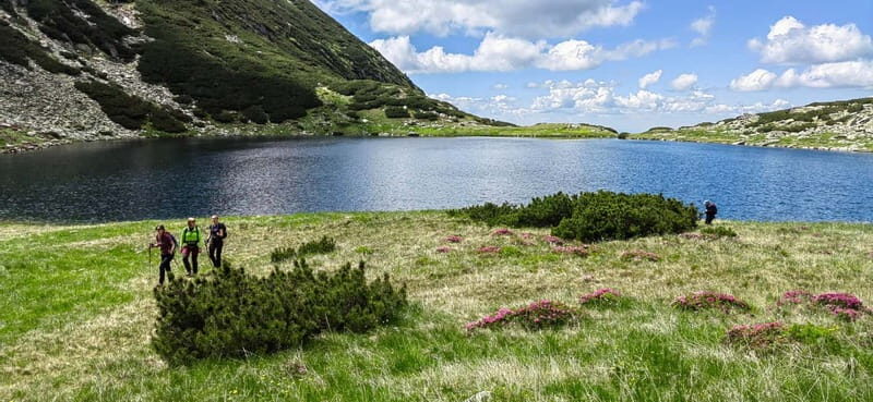 Retezat National Park: Full day hike from Cluj Napoca - Key Points