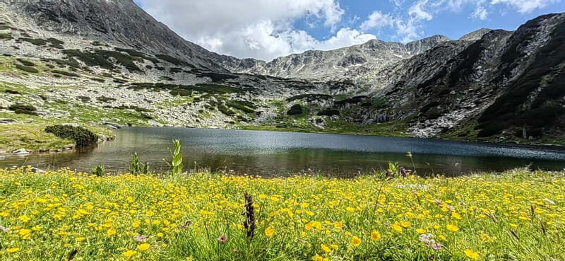 Retezat National Park: Full day hike from Cluj Napoca - An Honest Look at the Retezat National Park Full-Day Hike