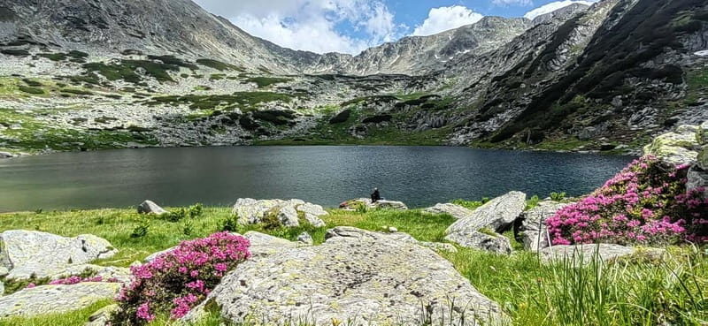 Retezat National Park: Full day hike from Cluj Napoca - FAQs