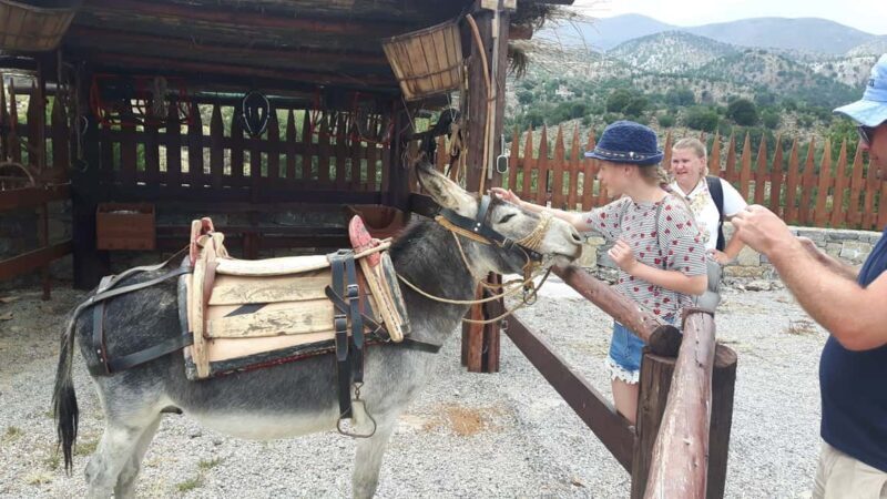 Rethymno Bal & Panormo:Cretan Experience TourSpecial Lunch - Key Points