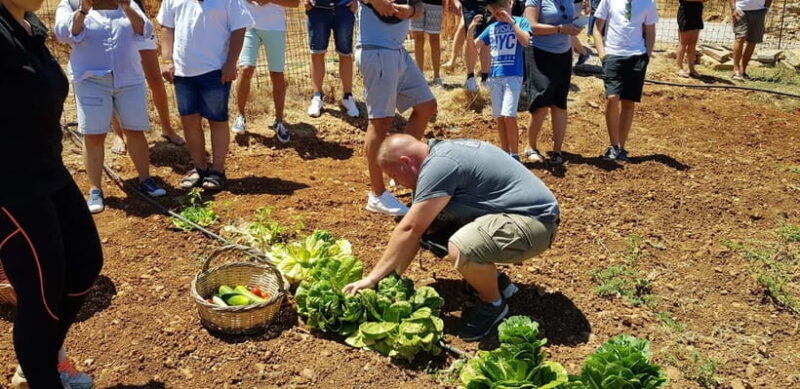 Rethymno Bal & Panormo:Cretan Experience TourSpecial Lunch - An Excursion Into Genuine Crete