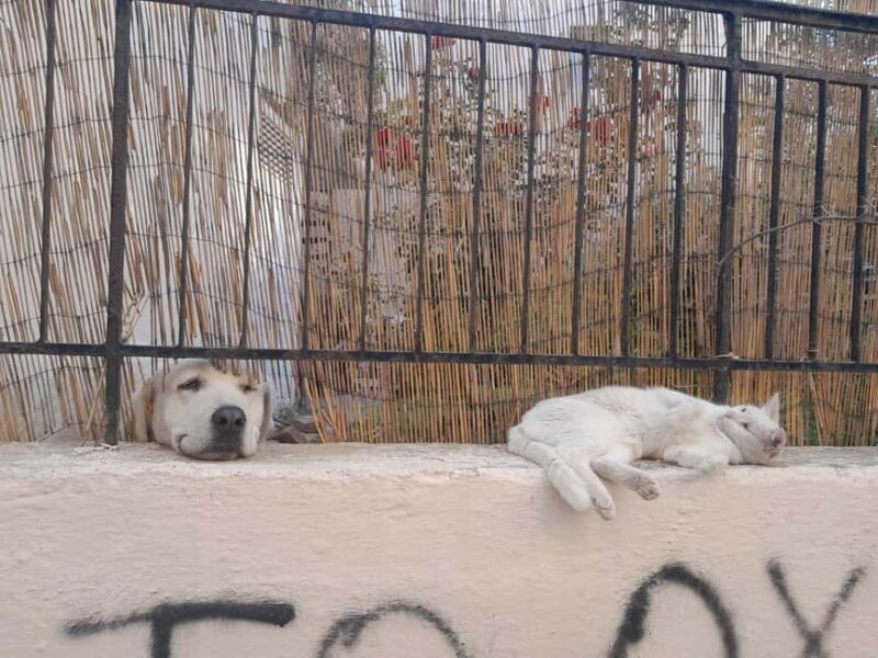Rethymno: Old Town Craft Beer Walking Tour - Final Thoughts