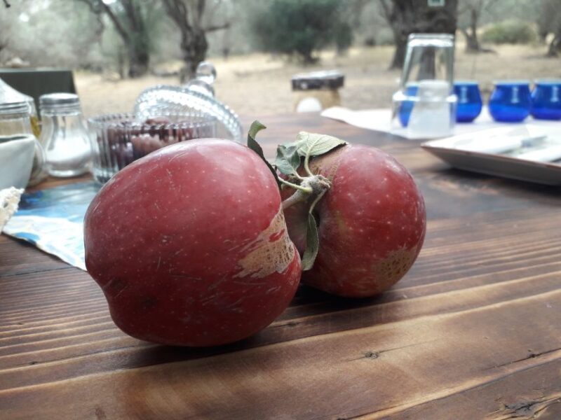 Rethymno: Olive Oil Tasting with Cretan Food Pairing - FAQs about the Olive Oil Tasting Tour