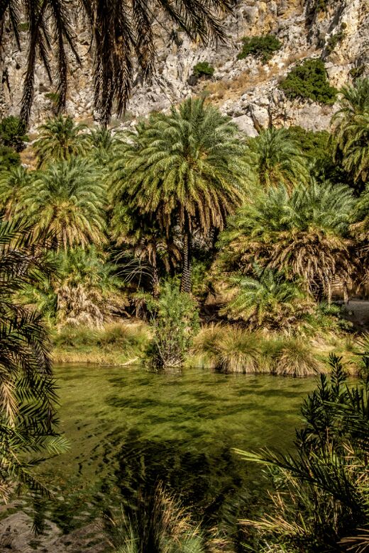 Rethymno: Preveli Palms, Damnioni Beach & Plakias Villlage - Final Words