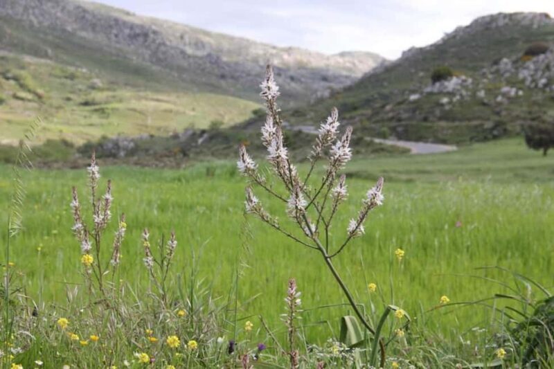 Rethymno: Private SUV Tour South Cretes Villages & Nature - Key Points