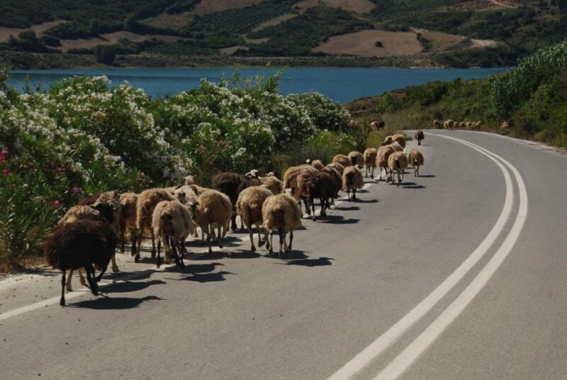 Rethymno | Safari Tour in Private - What Makes This Tour Stand Out