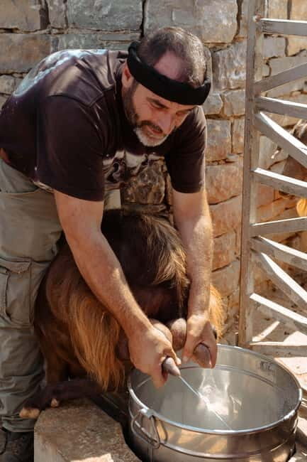 Rethymno: Shepherd For A Day - Final Thoughts