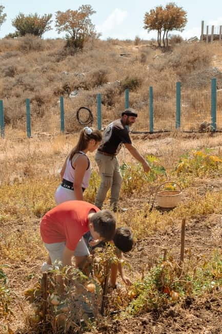 Rethymno: Shepherd For A Day - FAQ