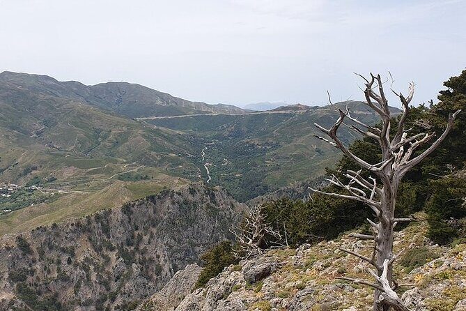 Rethymno Tour - VIP Private Tour - FAQ