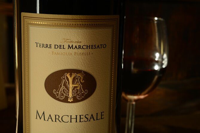 Retrospettiva di Marchesale Wine Tasting and Tour in Bolgheri - The Review and Feedback