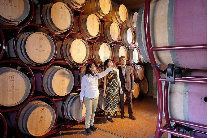 Retrospettiva di Marchesale Wine Tasting and Tour in Bolgheri - What Travelers Should Know
