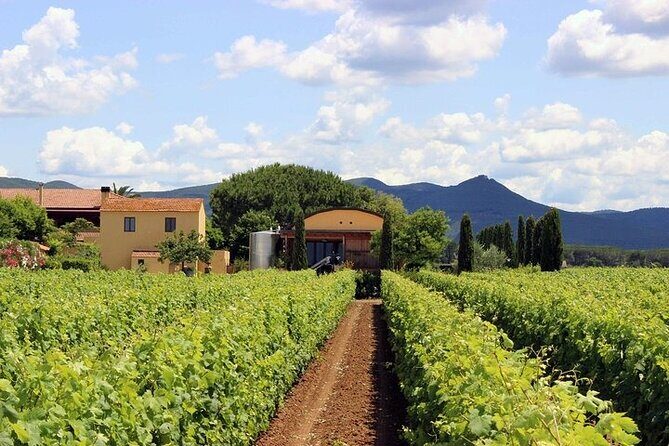 Retrospettiva di Marchesale Wine Tasting and Tour in Bolgheri - Who Should Book This Experience?
