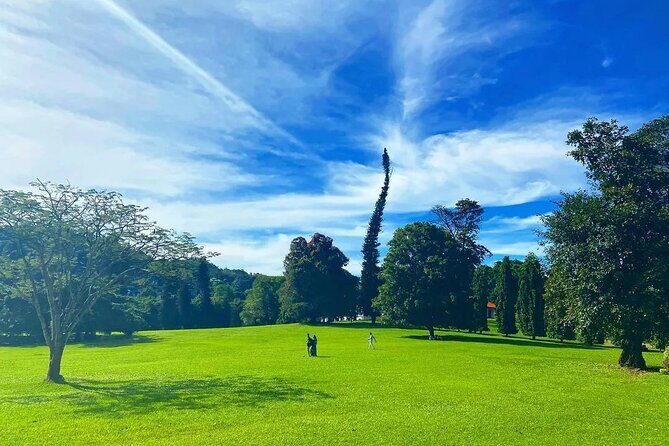 Return Airport Transfers & Kandy Day Tour From Colombo - The Sum Up