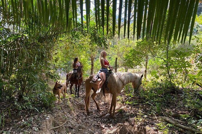 Rey Spearo - Enchanting And Romantic Custom Created Tours - A Guided Journey Through Jalisco’s Natural Beauty
