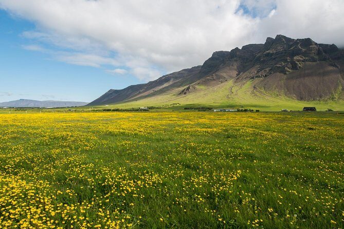 Reykjanes peninsula - Why Opt for a Private Tour?