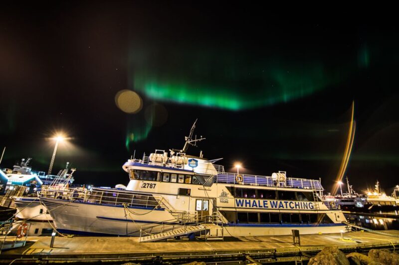 Reykjavik: 2-Hour Northern Lights by Boat with Backup Plan - What Makes This Tour Special?