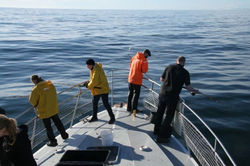 Reykjavik: 3-Hour Sea Angling Gourmet Experience Tour - Key Points