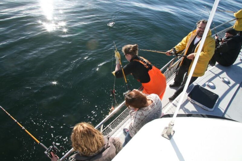 Reykjavik: 3-Hour Sea Angling Gourmet Experience Tour - The Value for Money